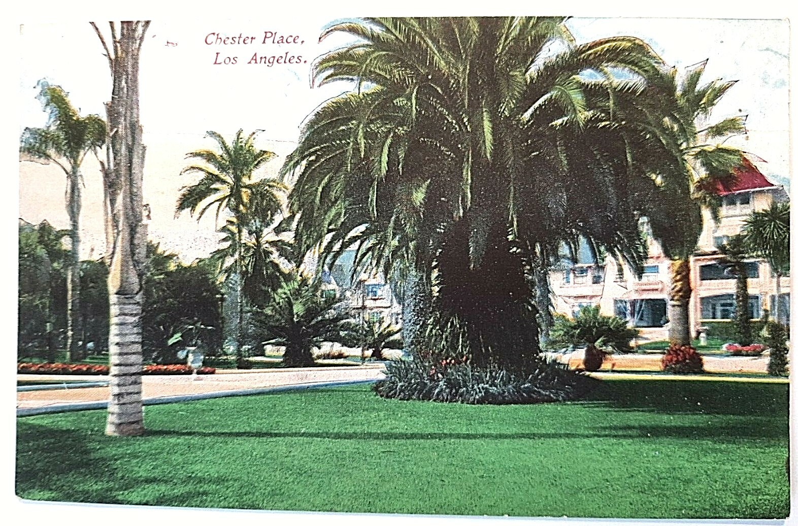 CHESTER PLACE Los Angeles CA Postcard | eBay