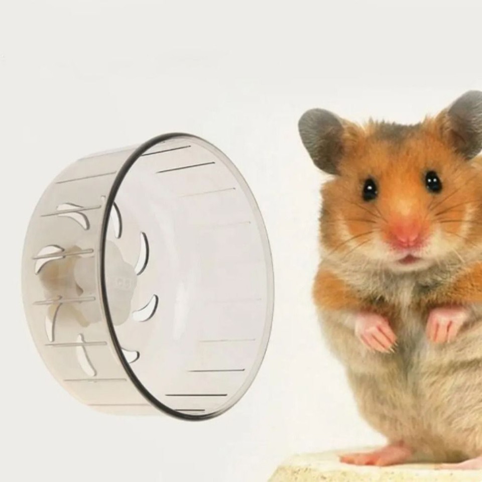 13cm Hamster Exercise Wheel Silent Rat Roller Treadmill For Guinea Pig ...