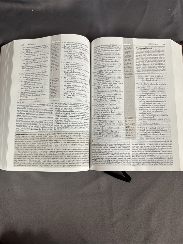 NKJV Study Bible: Large Print Edition Signature Series Thomas Nelson ...