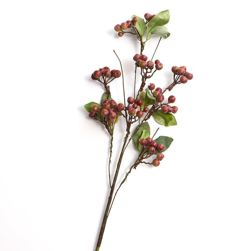 Green Hypericum Berries