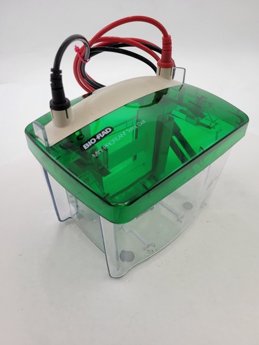 Bio-Rad Mini-PROTEAN Tetra Cell Electrophoresis System 600VDC 500W ...