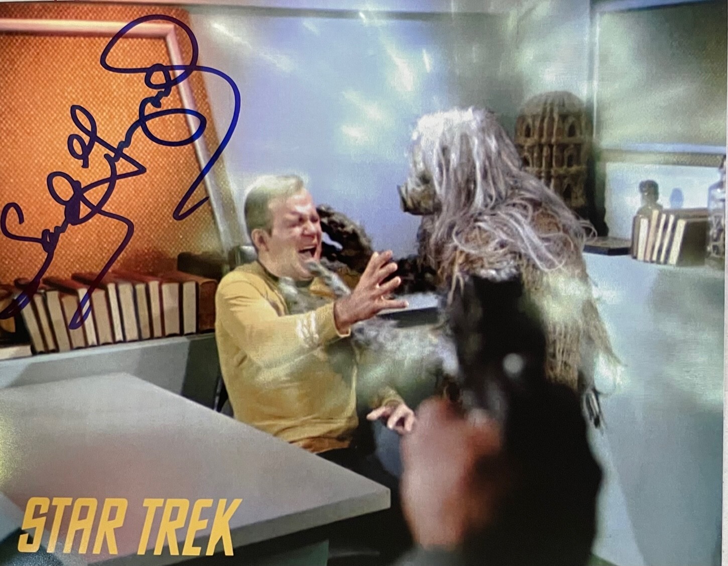 Sandra Lee Gimpel STAR TREK TOS Original 8X10 Signed Photo #9 | eBay