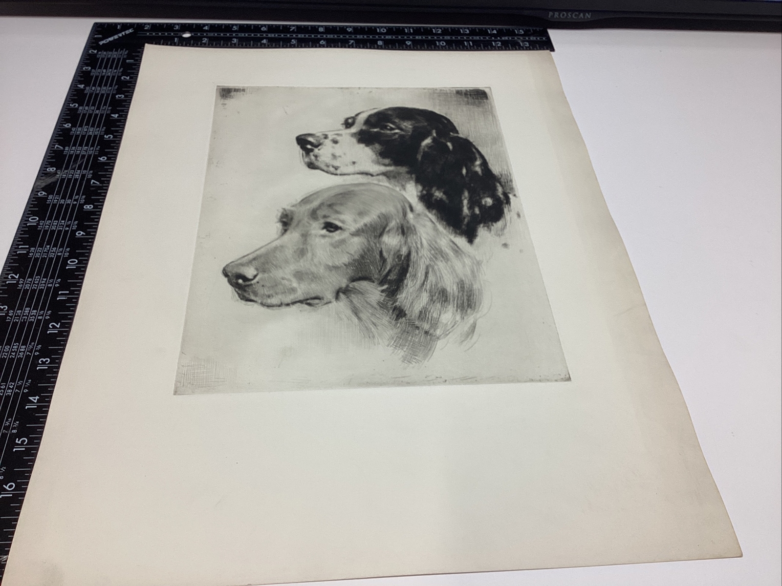 ART PAPER ETCHING PLATE Original Print J. KNOWLES HARE ARISTOCRATICS ...