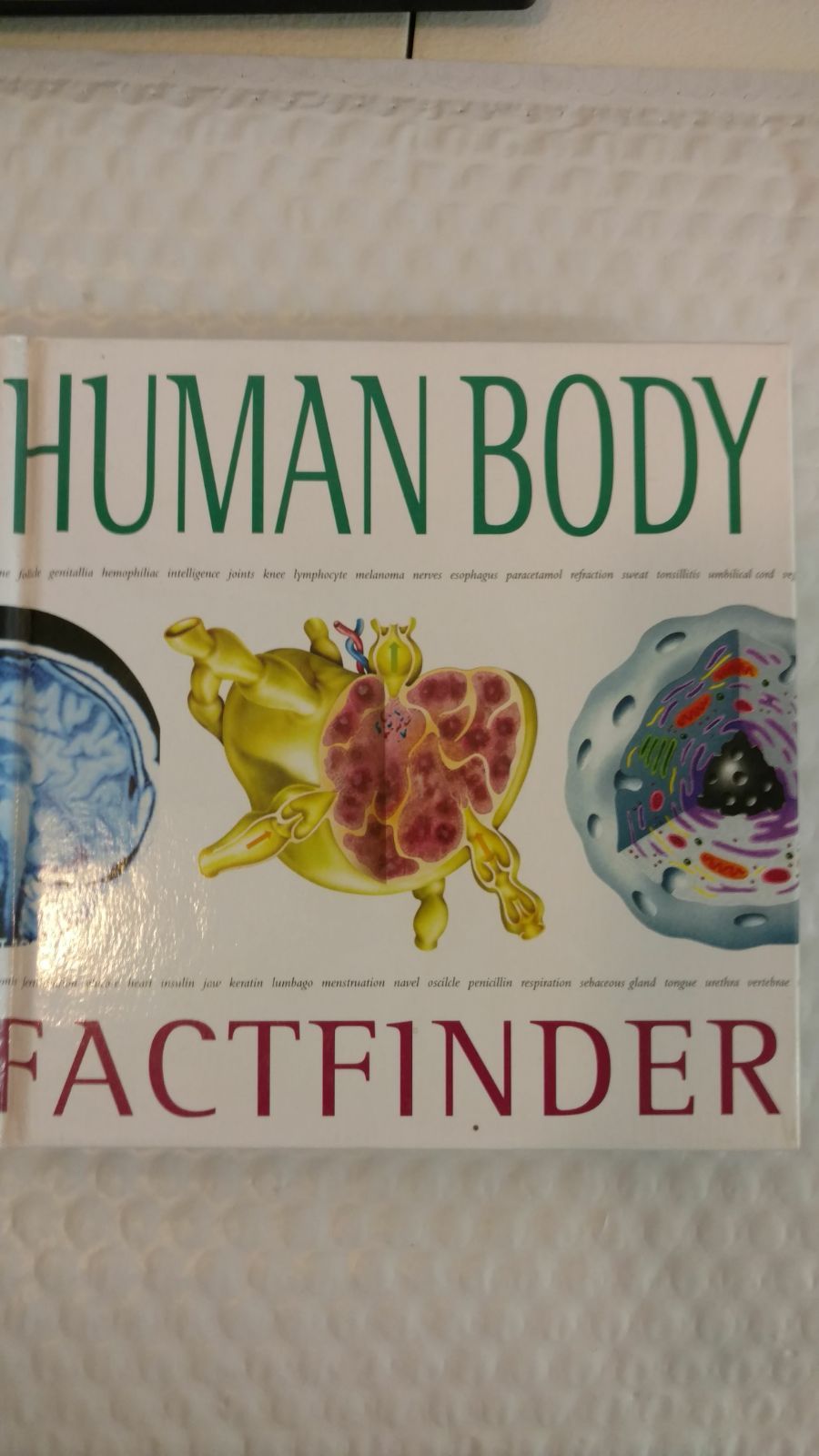 Human Body Factfinder Hardcover – 1999 by John Fardon (Author), Angela ...