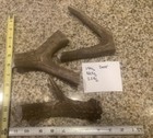 Deer Antlers for Dogs for sale | eBay
