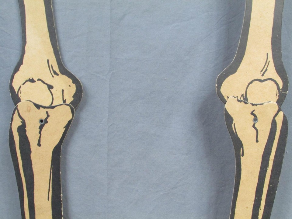 Vintage 1950s Halloween Beistle DieCut Jointed Skeleton Decoration Life ...