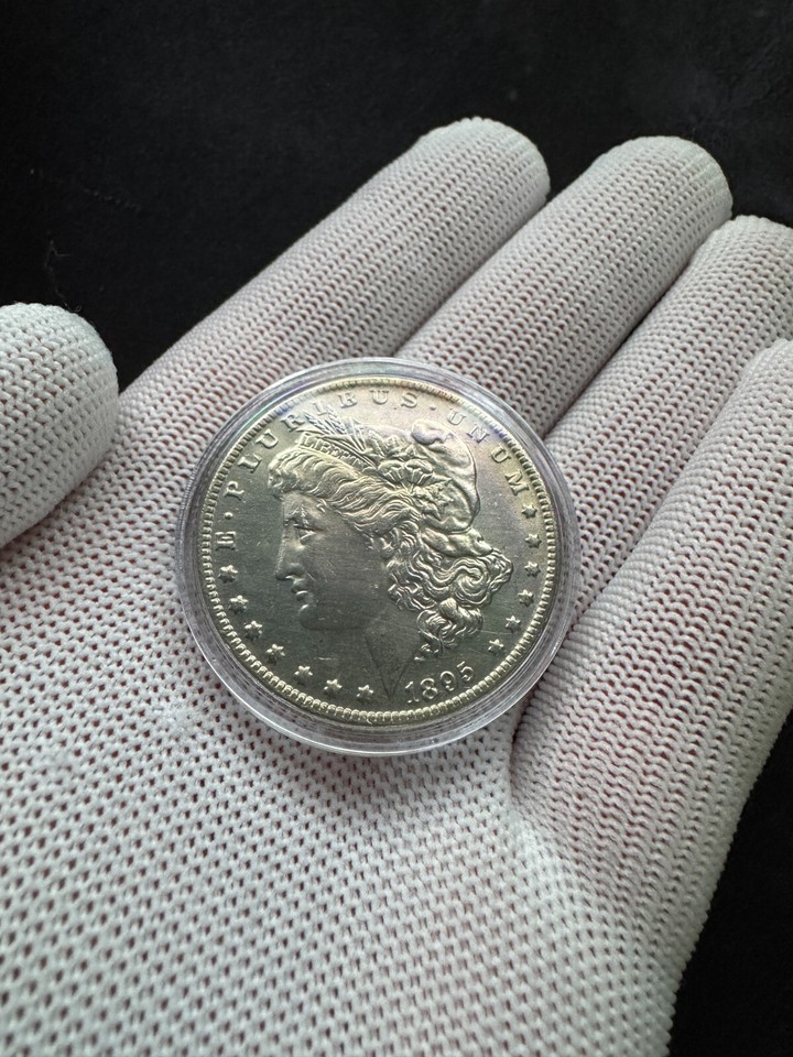 Morgan Dollar Two Heads Coin with Capsule | eBay