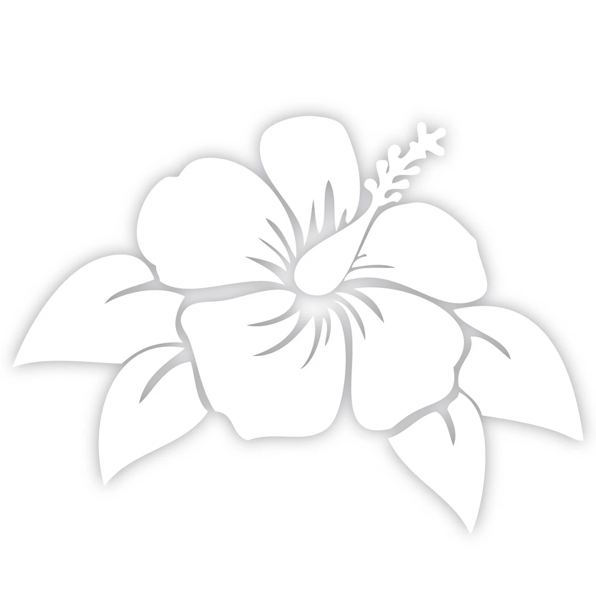 Hawaii State Flower Drawing | Best Flower Site