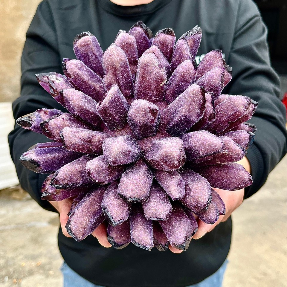 8.36LB Purple Ghost Phantom Crystal Cluster Flower Raw Crystal Heal ...