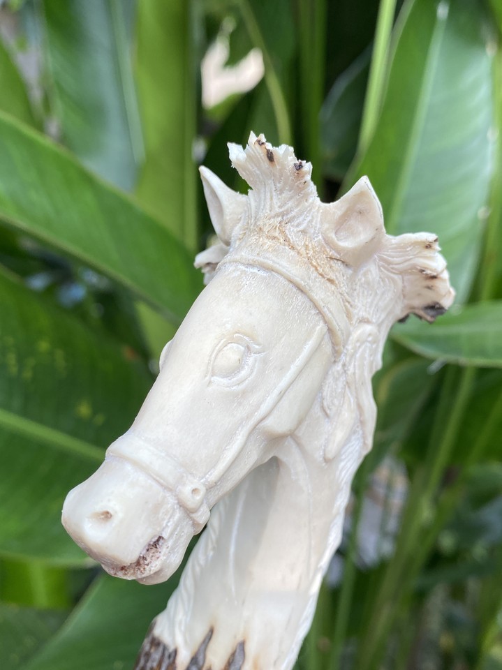 Moose Knife Handle, Horse Carving, Moose Handle, Carved Antler, Antler ...