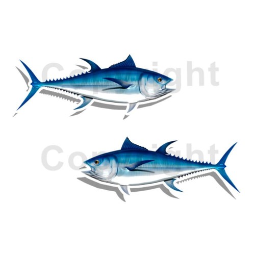 Bluefin Tuna Sticker Decal Fishing Fish Boat Truck Camper Trailer F137 ...