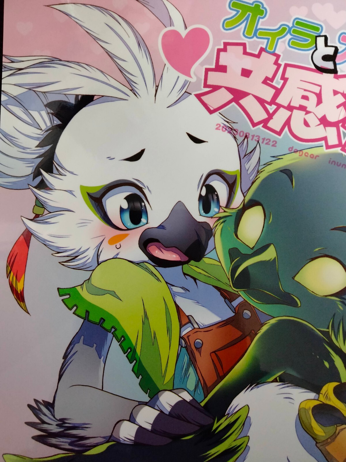 The Legend of Zelda Doujinshi Link X Tulin (A5 26pages) Dogear | eBay