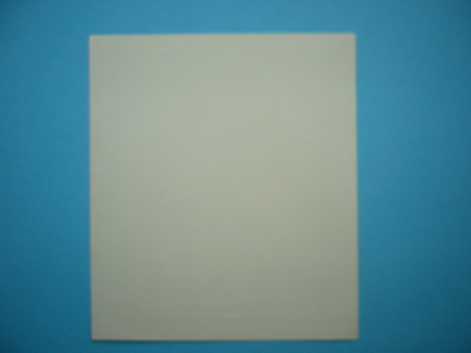 1976 ROYAL BANK B.C. LIONS LEADERS CFL FOOTBALL PHOTO TED DUSHINSKI ...