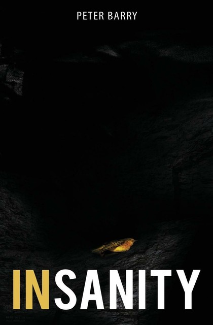 Insanity von Peter Barry (2020, Taschenbuch) online kaufen | eBay.de