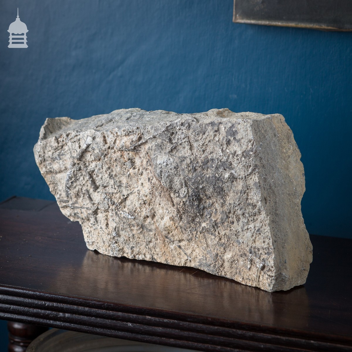 Fossiliferous Limestone Fossiliferous Limestone Photos, Images