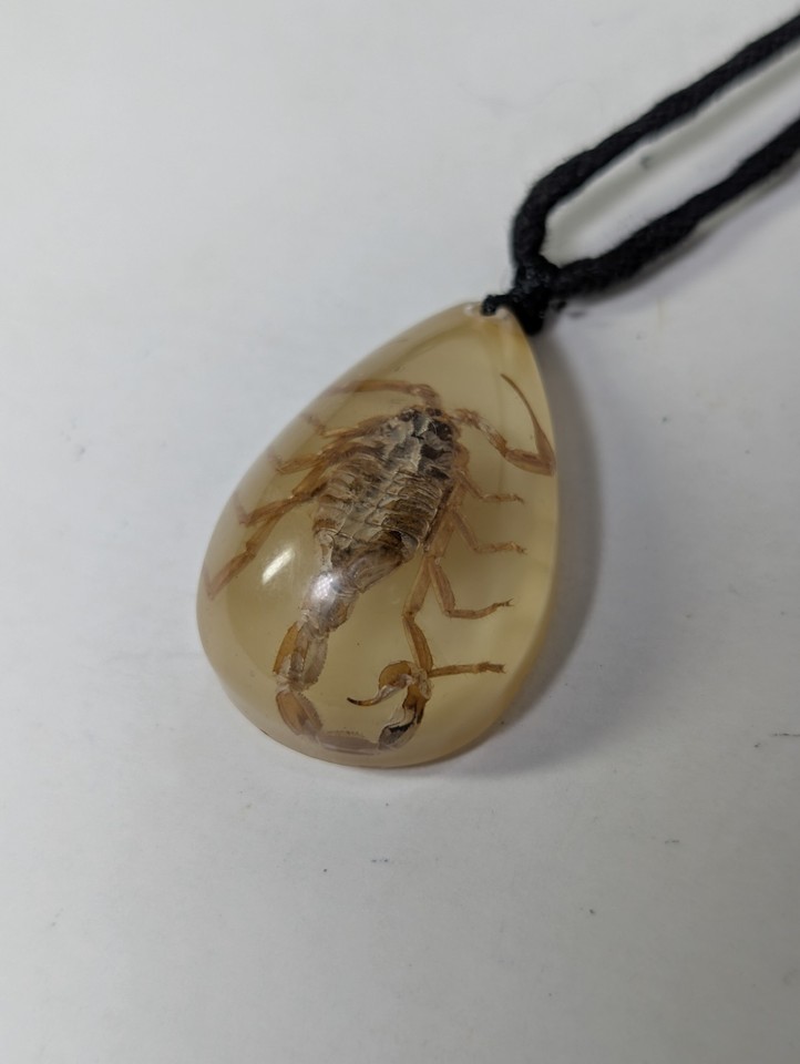 Scorpion Necklace in Replica Amber Real Scorpion Insect Pendant | eBay