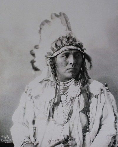 Spotted Jack Rabbit, Crow Tribe. (1898) | eBay