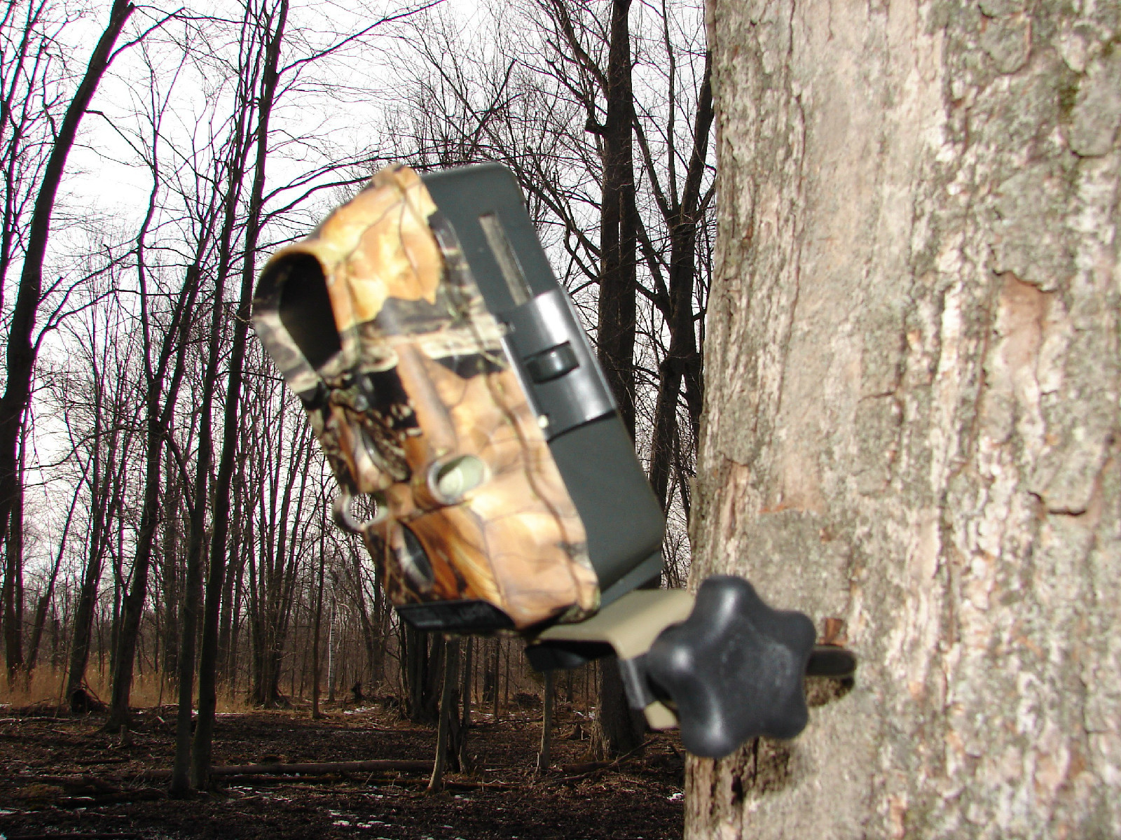 Primos Truth Cam Ultra Adjustable Mounting Bracket | eBay