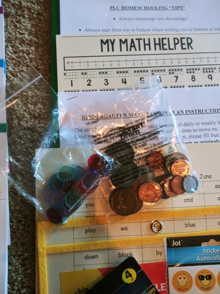 Kindergarten: Homeschool Curriculum Box : Math, ELA, Science,reading ...
