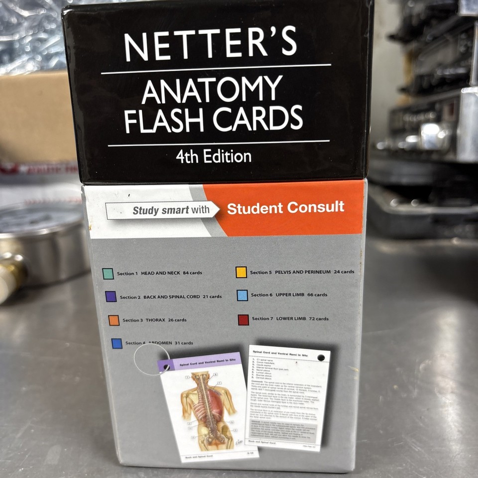 NETTER'S ANATOMY Flash Cards with Ring 4th Edition Medical Nursing ...