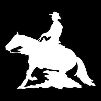 REINING HORSE Vinyl Decal (3 Sizes, 12 Colors) SD | eBay