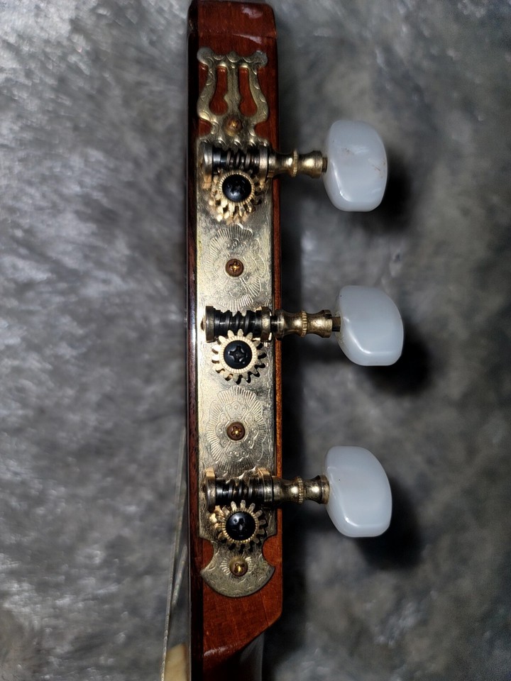 LYLE GUITAR C-640 (P22005460) | eBay