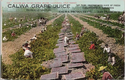Lithograph San Francisco CA Calwa Grape Juice Advertising Labor Scene ...