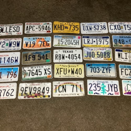 License Plate Lot #4 -25 plates, Bulk, Mixed State, Craft/Collect- No ...