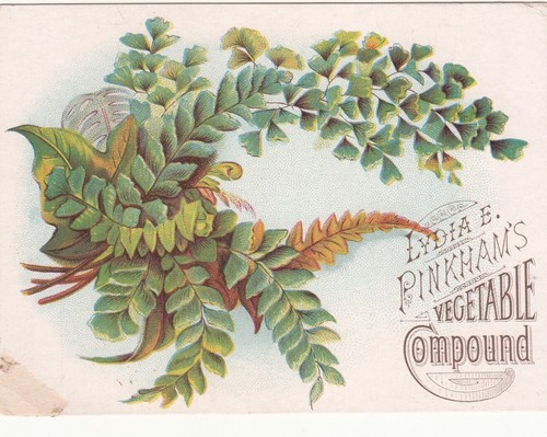 Lydia Pinkham's Compound Fern H F Breach Kingston MA Myrick Vict Card ...