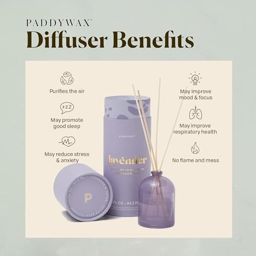 Paddywax Petite Collection Reed Diffuser, 1.5-Ounce, Lilac-Lavender | eBay
