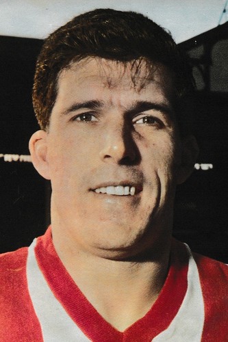 Football Photo>GEORGE HERD Sunderland 1963-64 | eBay