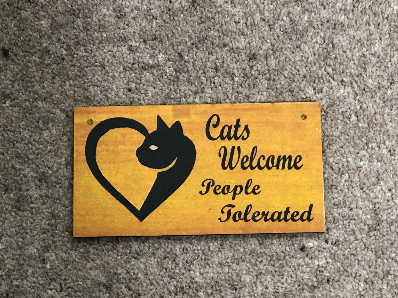 Funny Cat Signs by Image2 | eBay UK