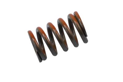 GM Genuine Parts 19178531 Manual Transmission Detent Spring | eBay