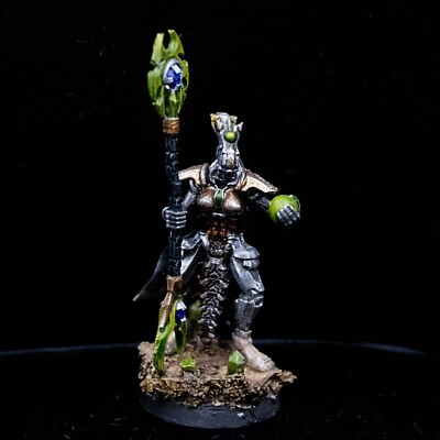 WH40k Necron Army Xenos Hero Painted Female PinUp Necron Overlord HQ ...