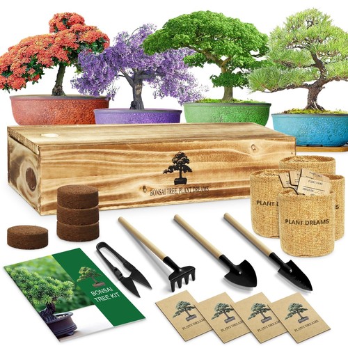 Bonsai Tree Kit, Bonsai Starter Kit for Growing Bonsai Plants with ...