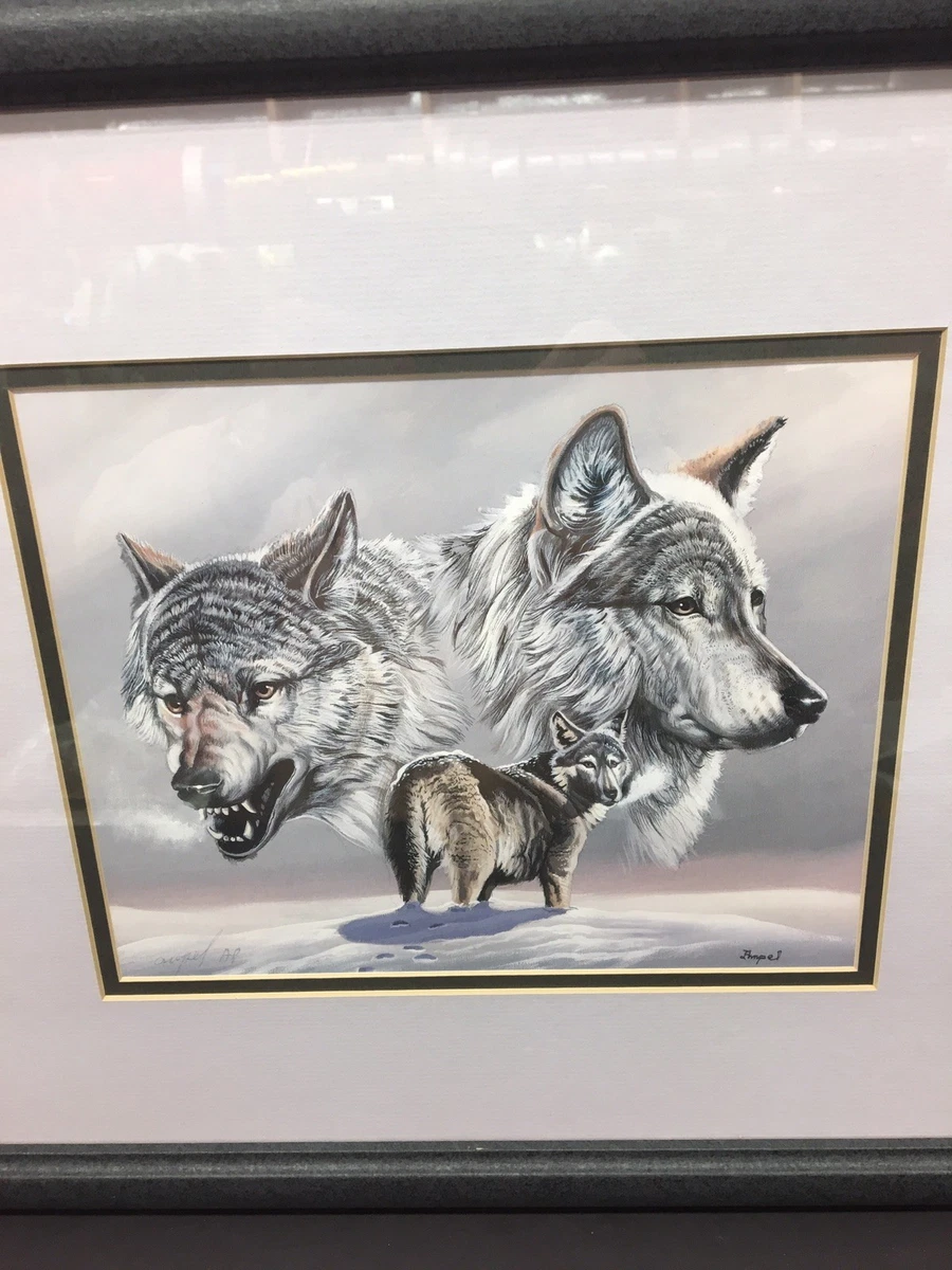 Pencil Drawings Of Wolves Faces