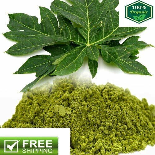 Dehydrated organic papaya leaf powder | eBay