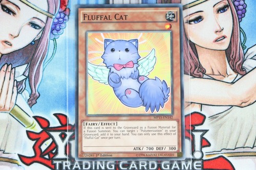 YuGiOh Fluffal Cat MP15-EN142 1st Ed Common | eBay