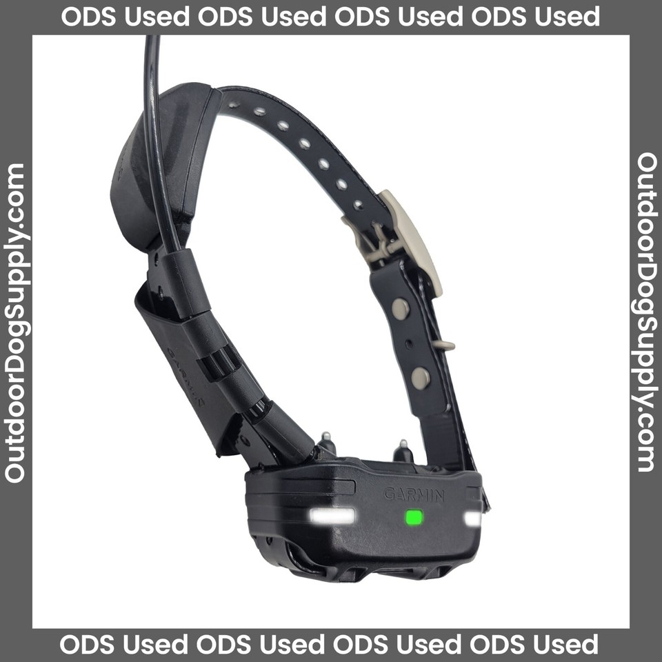 Garmin Alpha TT15 Mini Collar (Used) with New Basic Garmin Strap ...