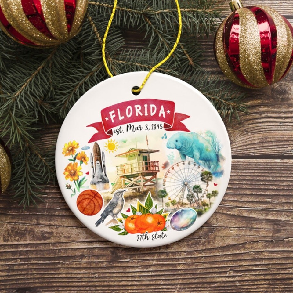 Artistic Florida State Themes and Landmarks Christmas Ornament | eBay