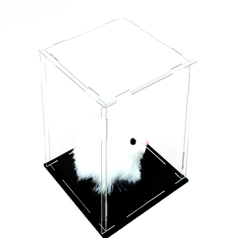 30cm Perspex Acrylic Display Case H Box Plastic Base Dustproof Figure ...