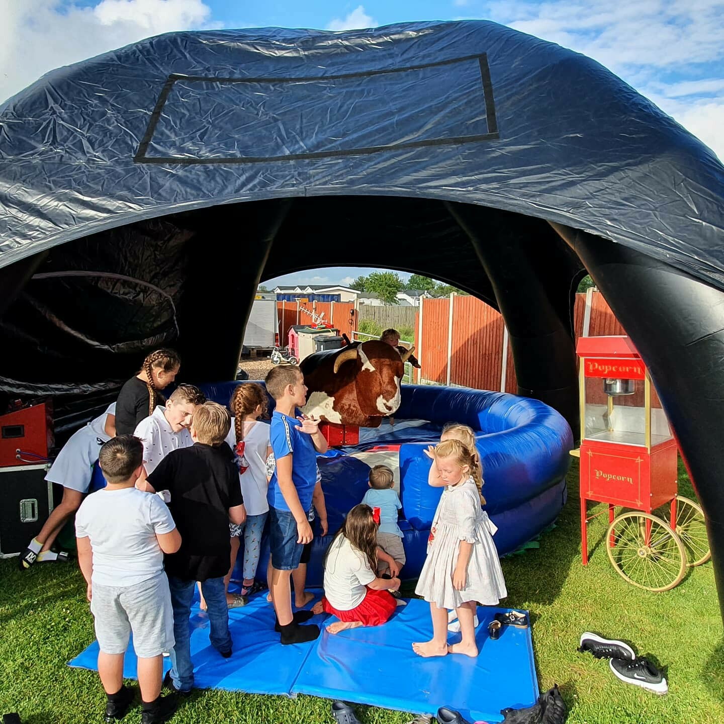 Rodeo bull ride hire bucking bronco hire rodeo reindeer xmas pudding ...