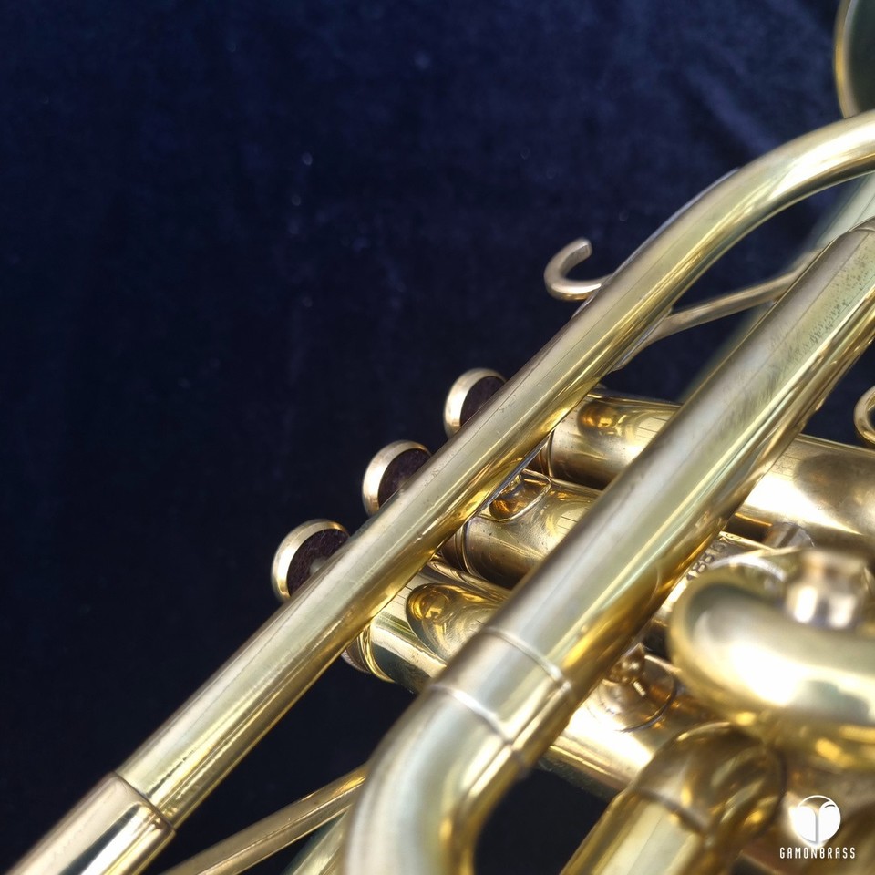 The Martin Committee cornet case mouthpiece gamonbrass | eBay