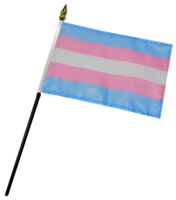 Transgender Pride LGBTQIA 4"x6" Flag Desk Table Plastic Stick Staff | eBay