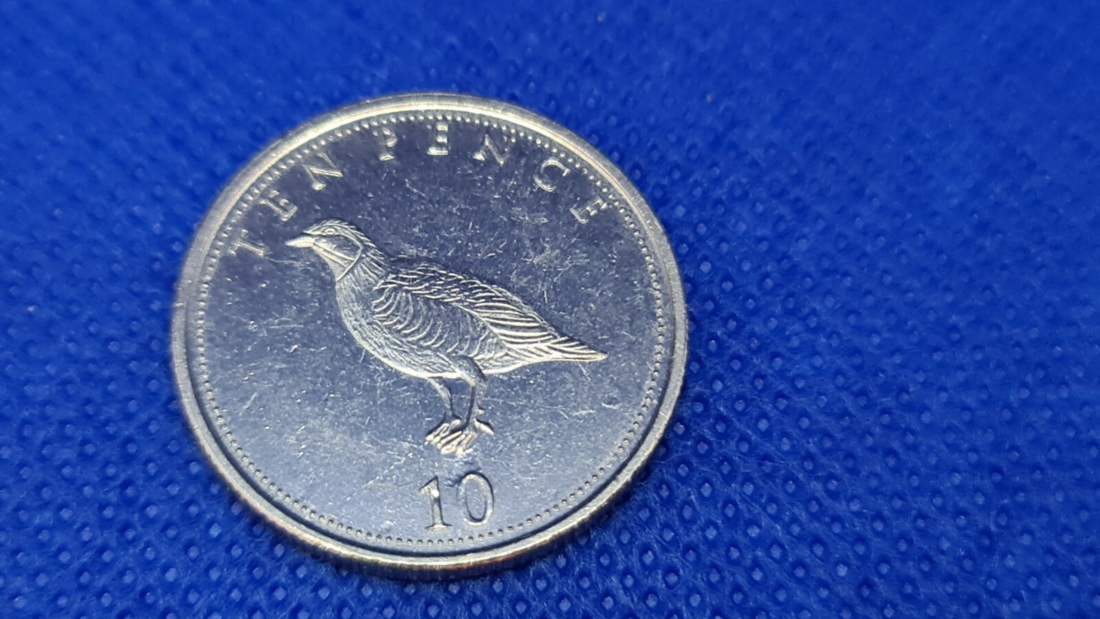 Rare* 2014 Gibraltar 10p coin Barbary Partridge National Bird Ten Pence ...