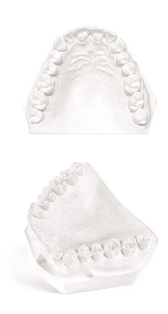 DENTAL LAB PLASTER STONE WHITE TYPE II REGULAR SET 5 Lbs | eBay