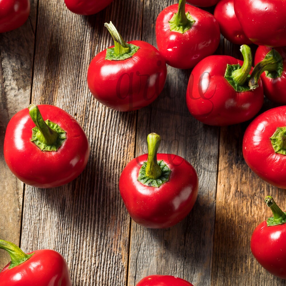 Kirschpaprika 'RED CHERRY' 10 Samen CAPSICUM ANNUUM seeds CHILI Gemüse ...