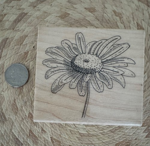 Penny Black 2013 "graceful" daisy rubber stamp NEW | eBay