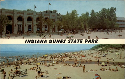 Indiana Dunes State Park Chesterton Indiana vintage postcard g321 | eBay