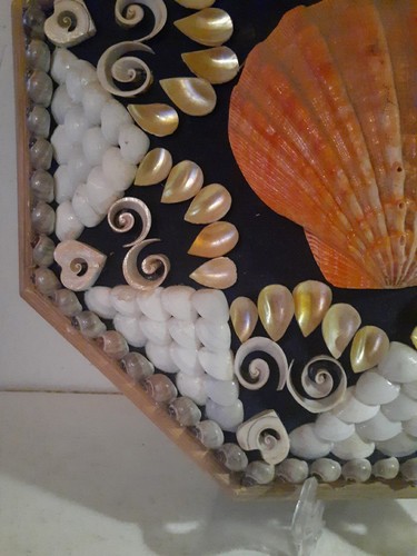 Vintage Octagon Sea Shell Art wall Plaque Phillipines 12" | eBay
